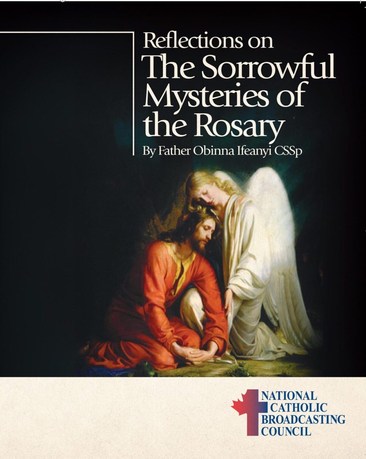 Reflections on The Sorrowful Mysteries of the Rosary - Download - Shop ...